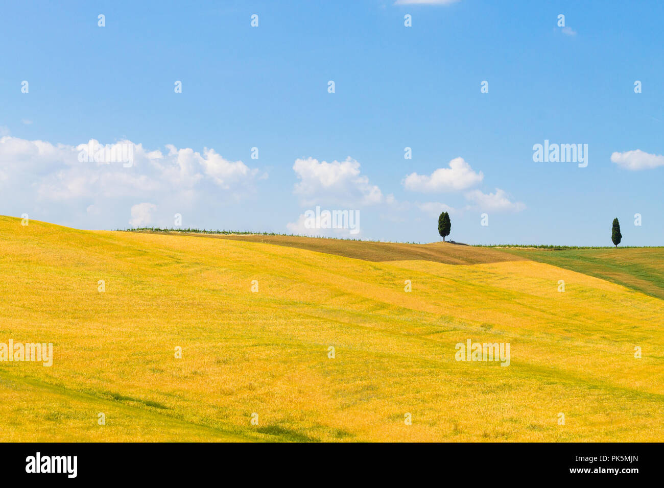 Tuscany scenery hi-res stock photography and images - Alamy