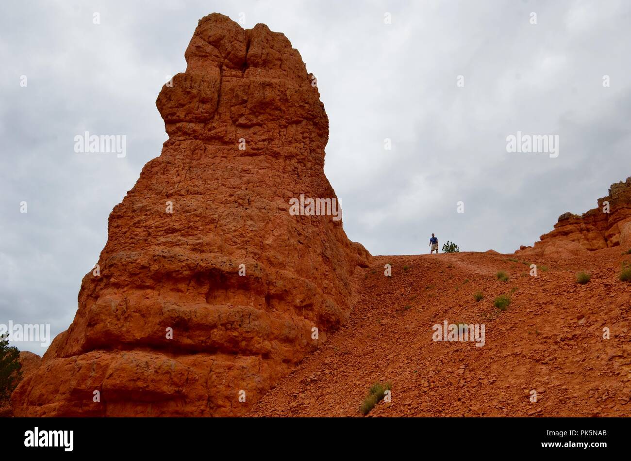 Red Canyon, Utah, USA Stock Photo - Alamy