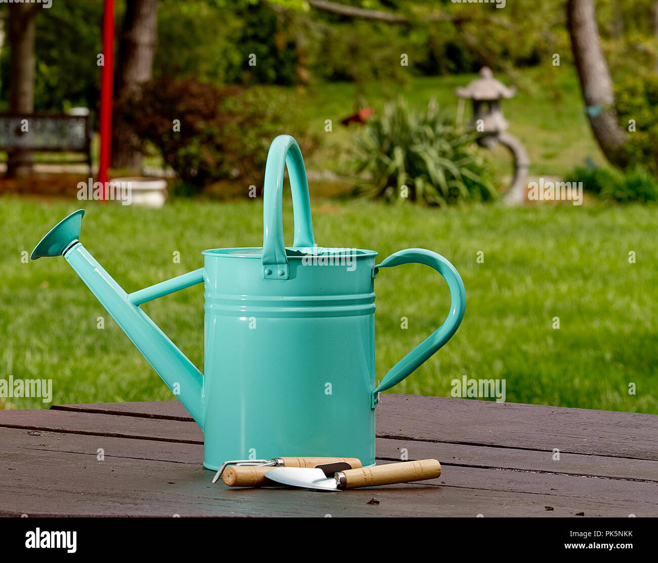 Images of preparations to plant herbs sitting on picnic table with ...