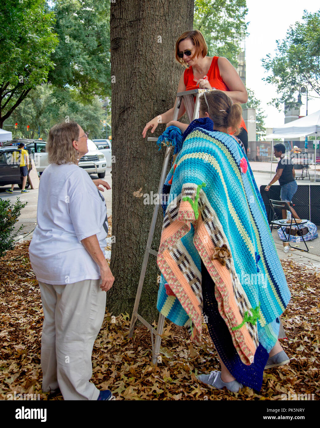 group of guerrilla knitters attacked Main Street Columbia south ...