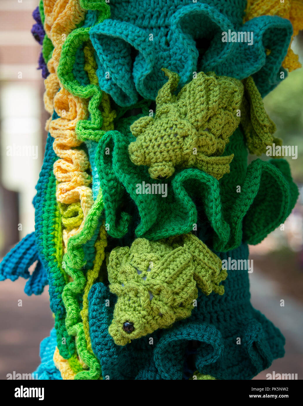 group of guerrilla knitters attacked Main Street Columbia south ...
