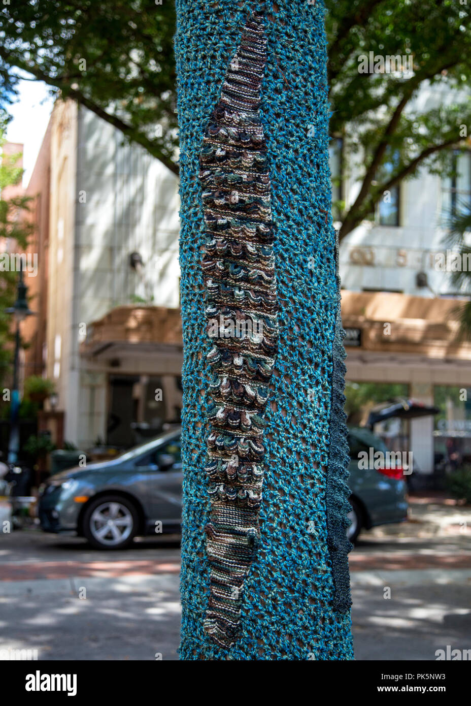 group of guerrilla knitters attacked Main Street Columbia south ...