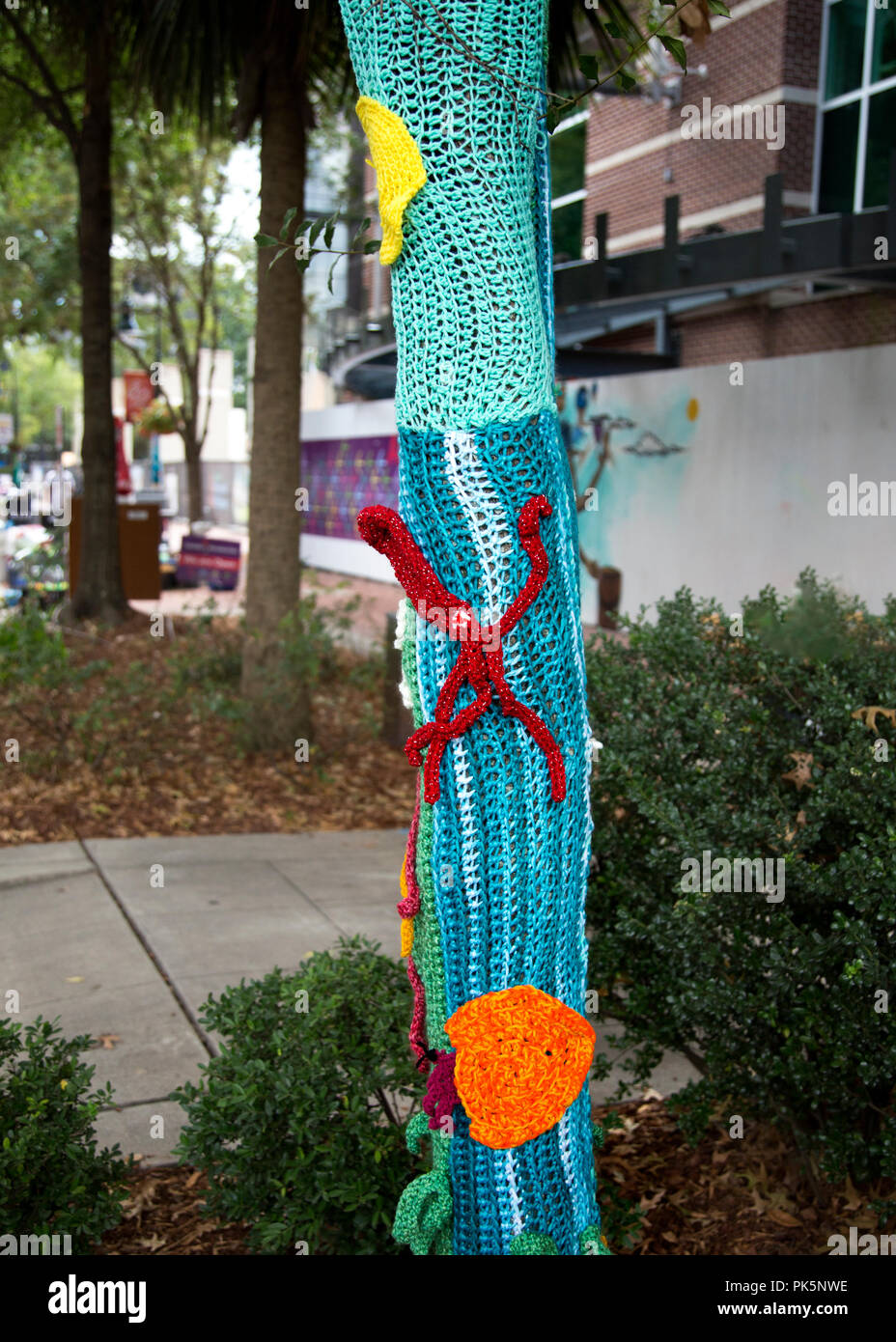 group of guerrilla knitters attacked Main Street Columbia south ...