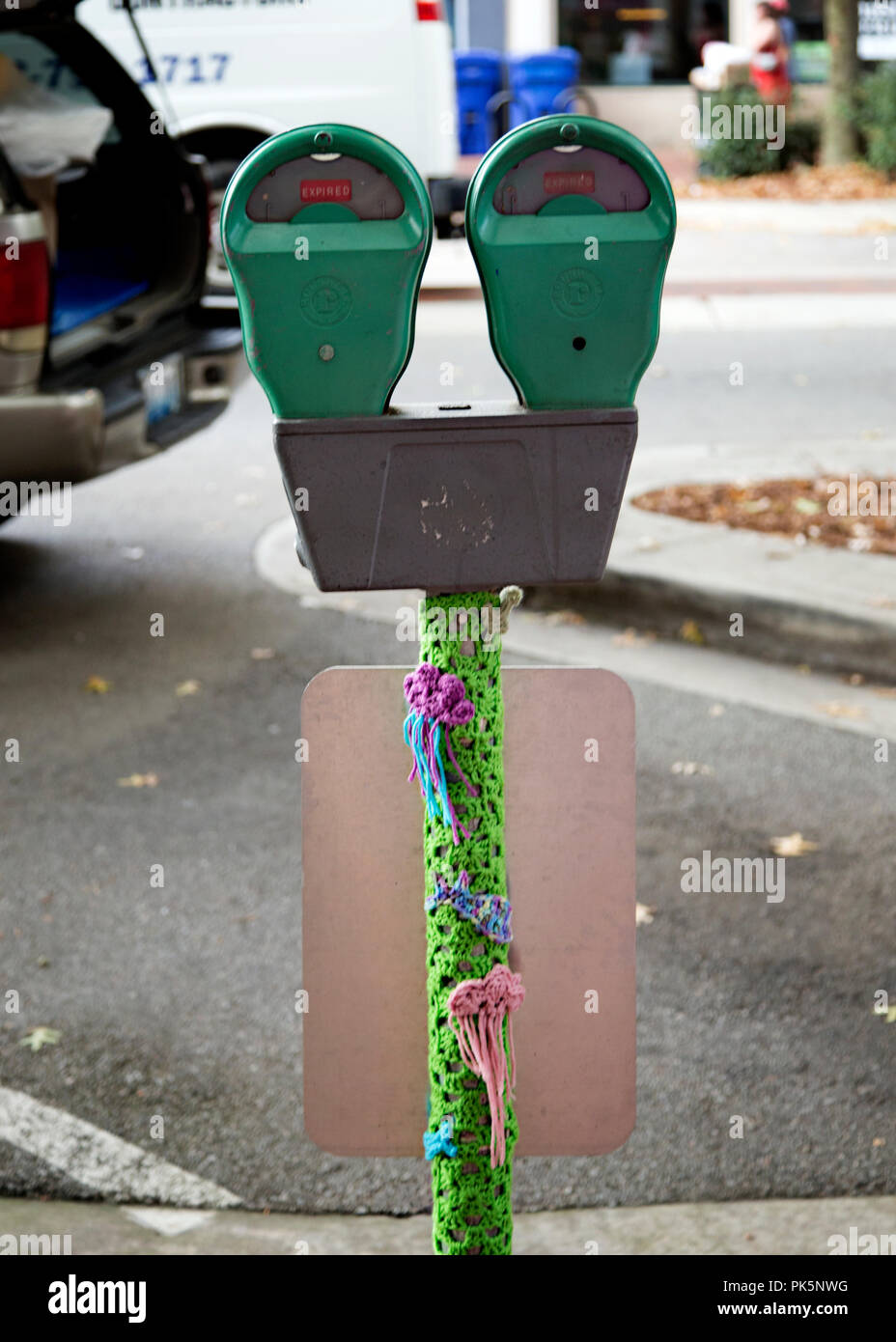 group of guerrilla knitters attacked Main Street Columbia south ...