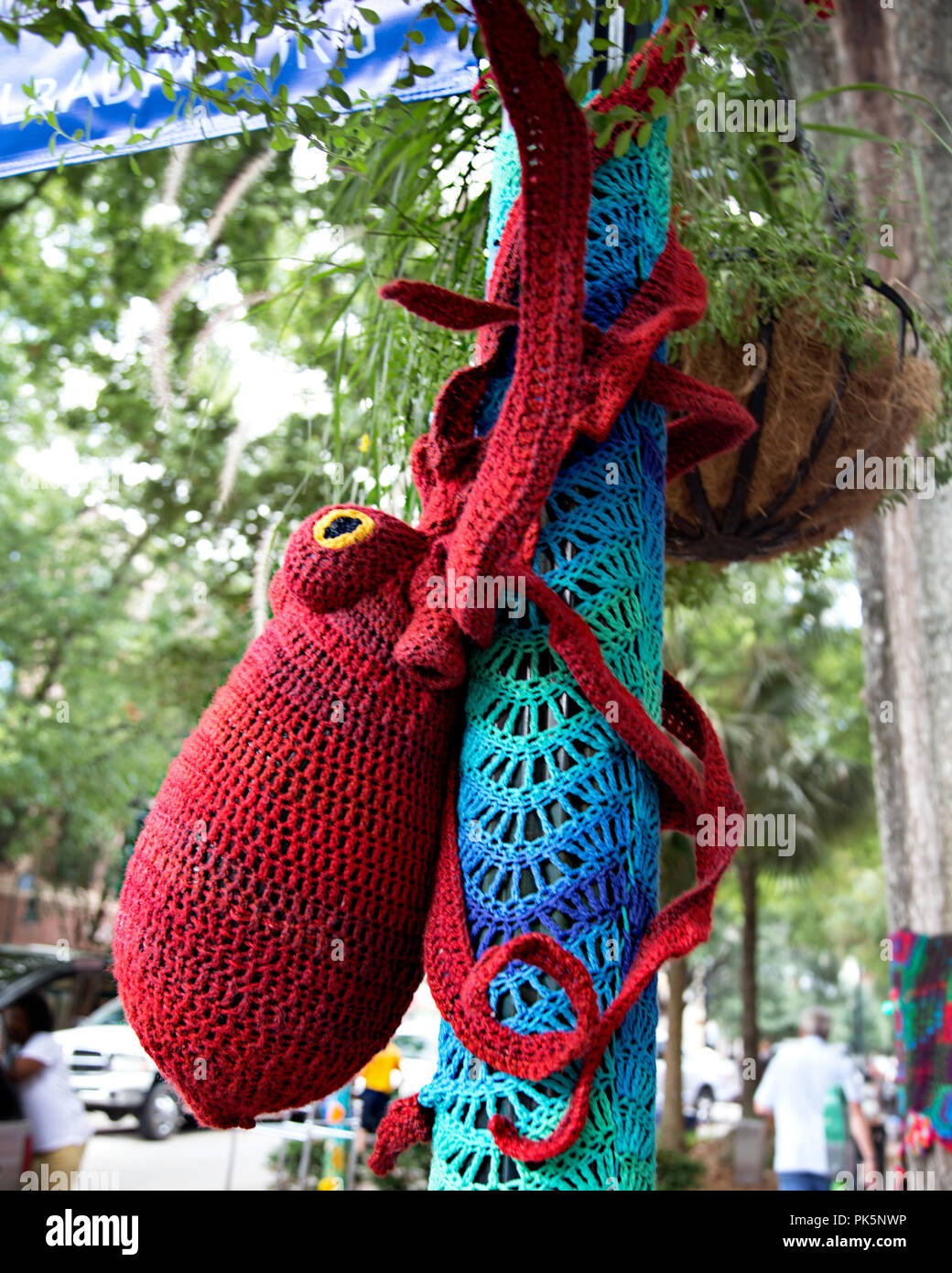 group of guerrilla knitters attacked Main Street Columbia south ...