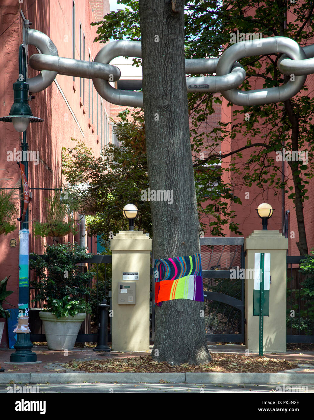 Parking meters along street hi-res stock photography and images - Alamy
