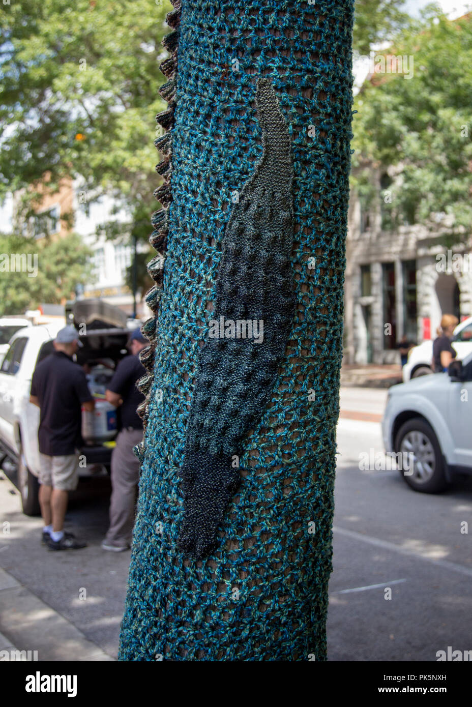 group of guerrilla knitters attacked Main Street Columbia south ...