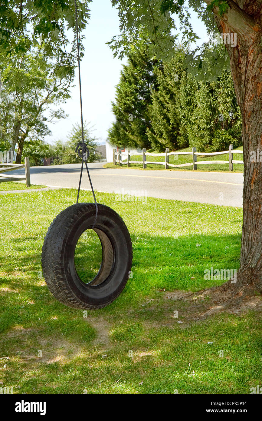 Tire swing is hanging to tree hi-res stock photography and images - Alamy