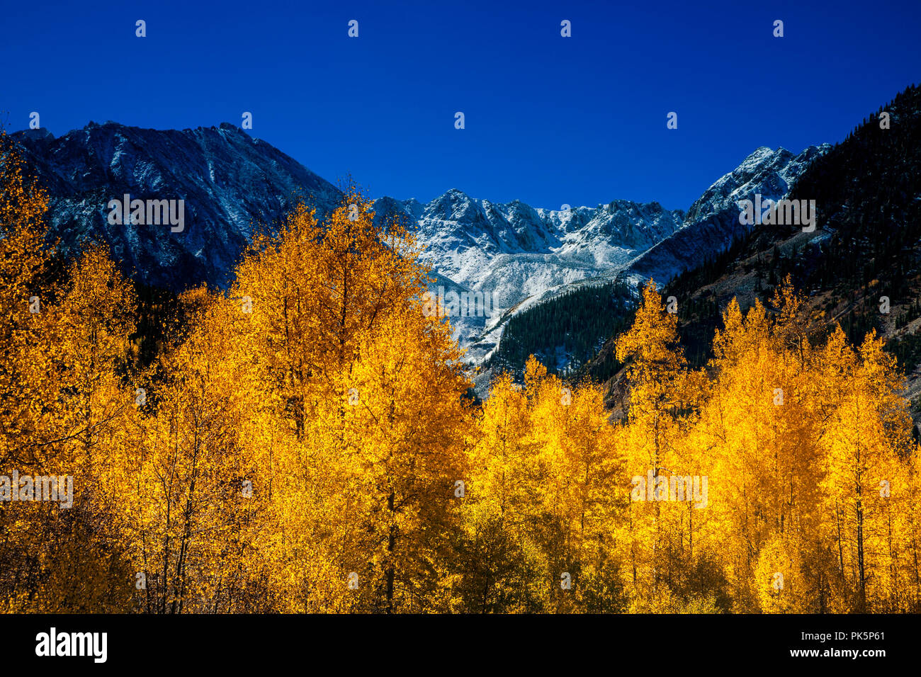 Aspen colorado snow hi-res stock photography and images - Alamy
