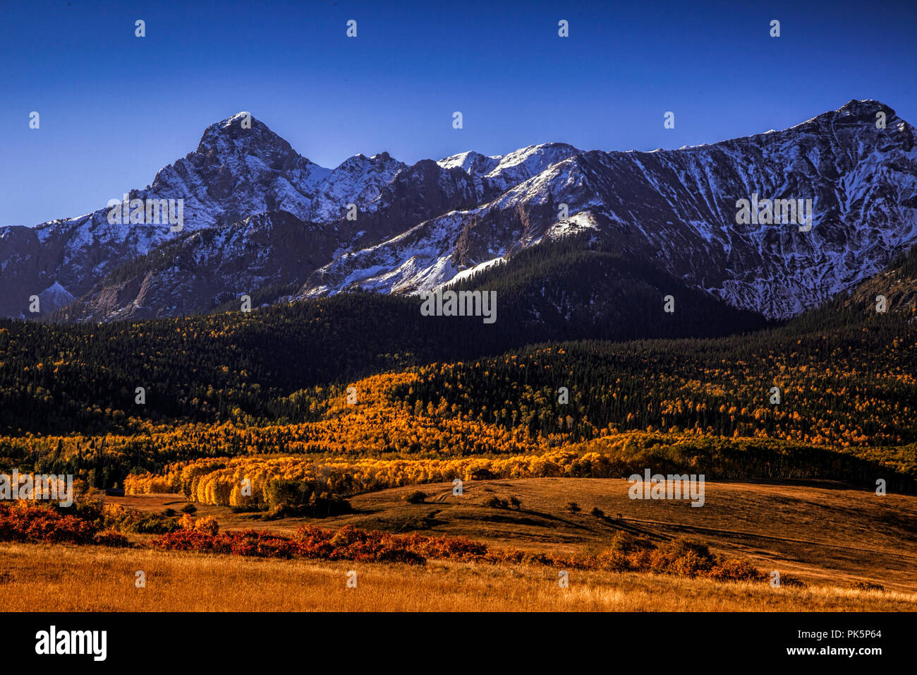 Autumn in Colorado Stock Photo - Alamy