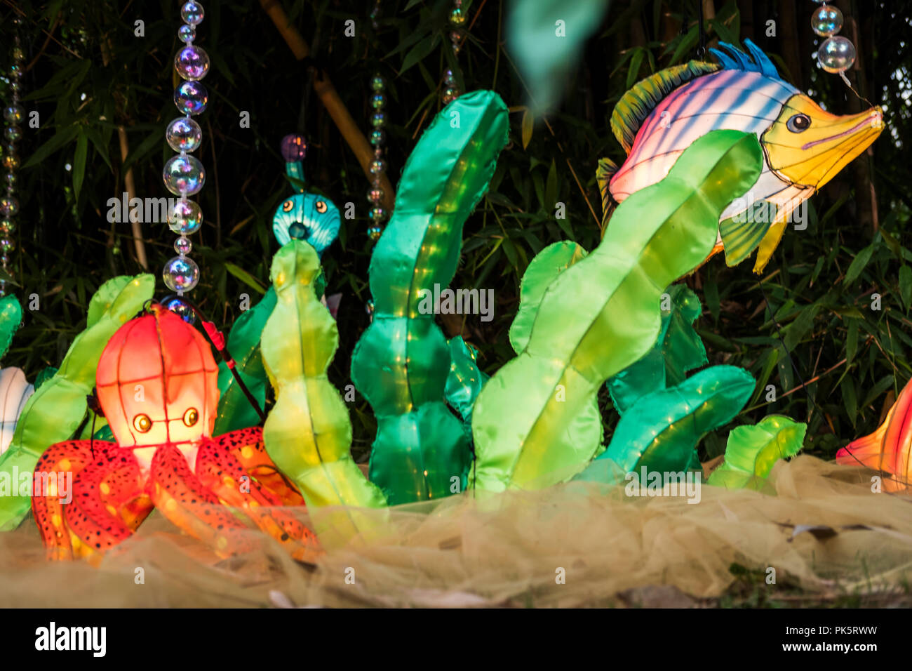 Lantern fish hi-res stock photography and images - Alamy