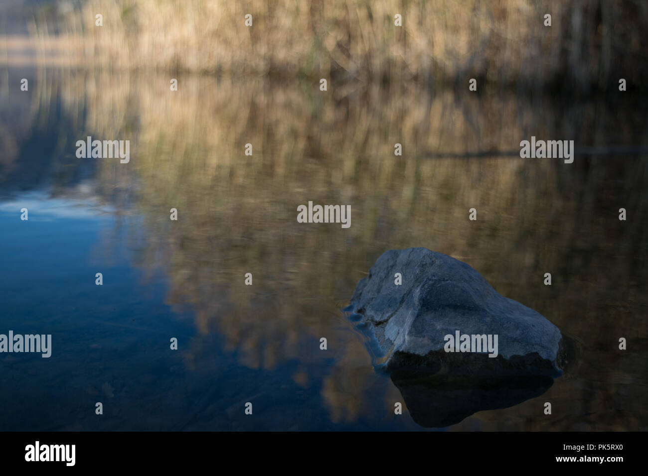 Evan stone hi-res stock photography and images - Alamy