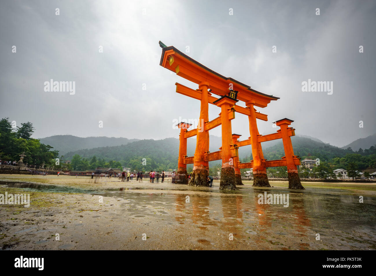 Miyajima Floating Torii gate on low tide Stock Photo - Alamy