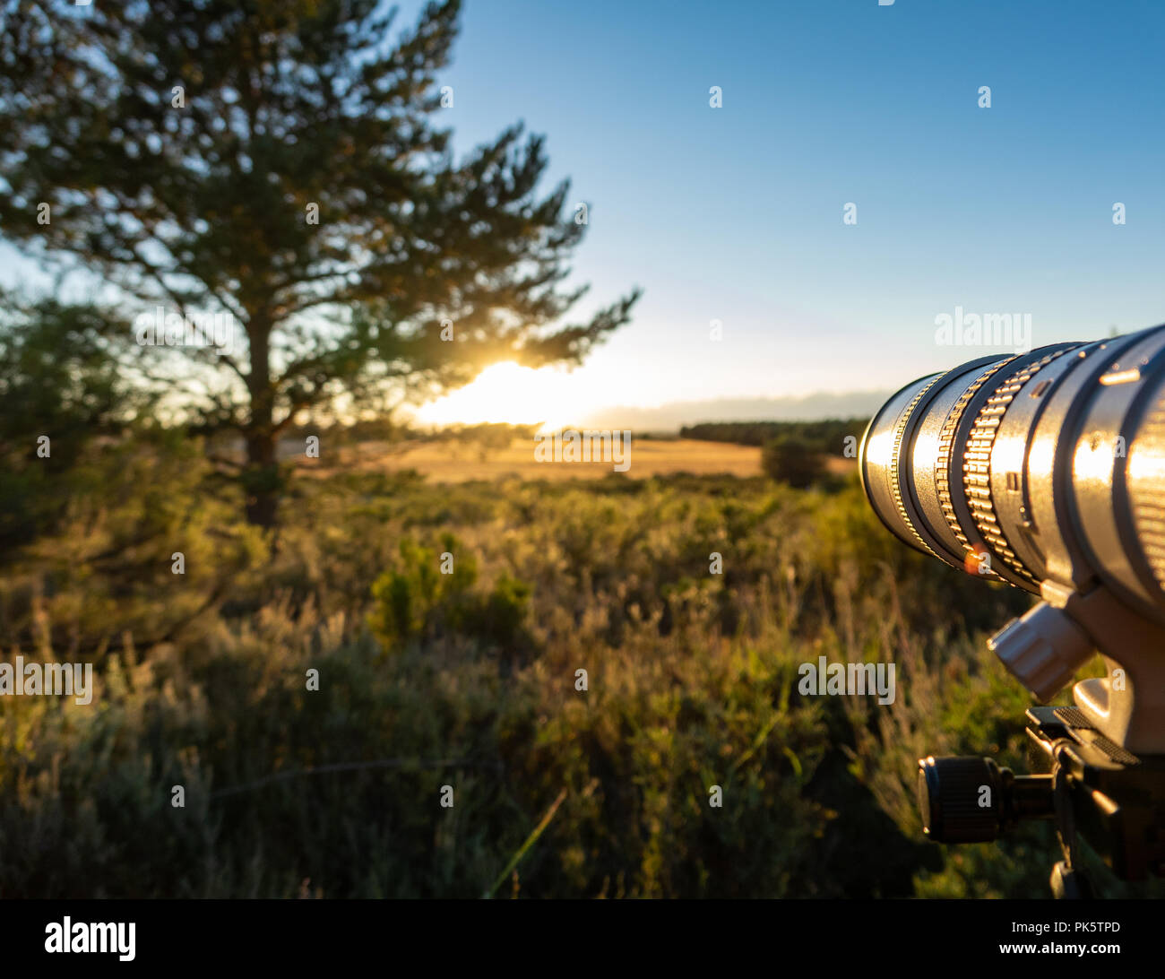 Telephoto lens view hi-res stock photography and images - Alamy
