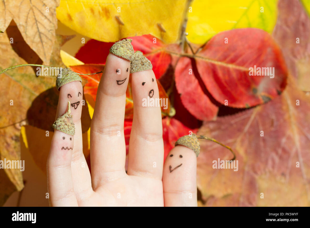 Happy acorn hi-res stock photography and images - Alamy