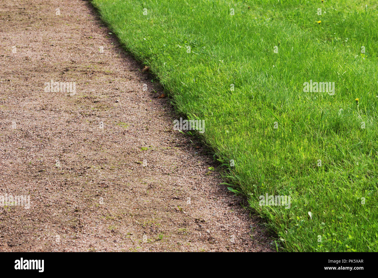 a path of gravel and a lawn of clipped green grass in the Gatchina Park ...