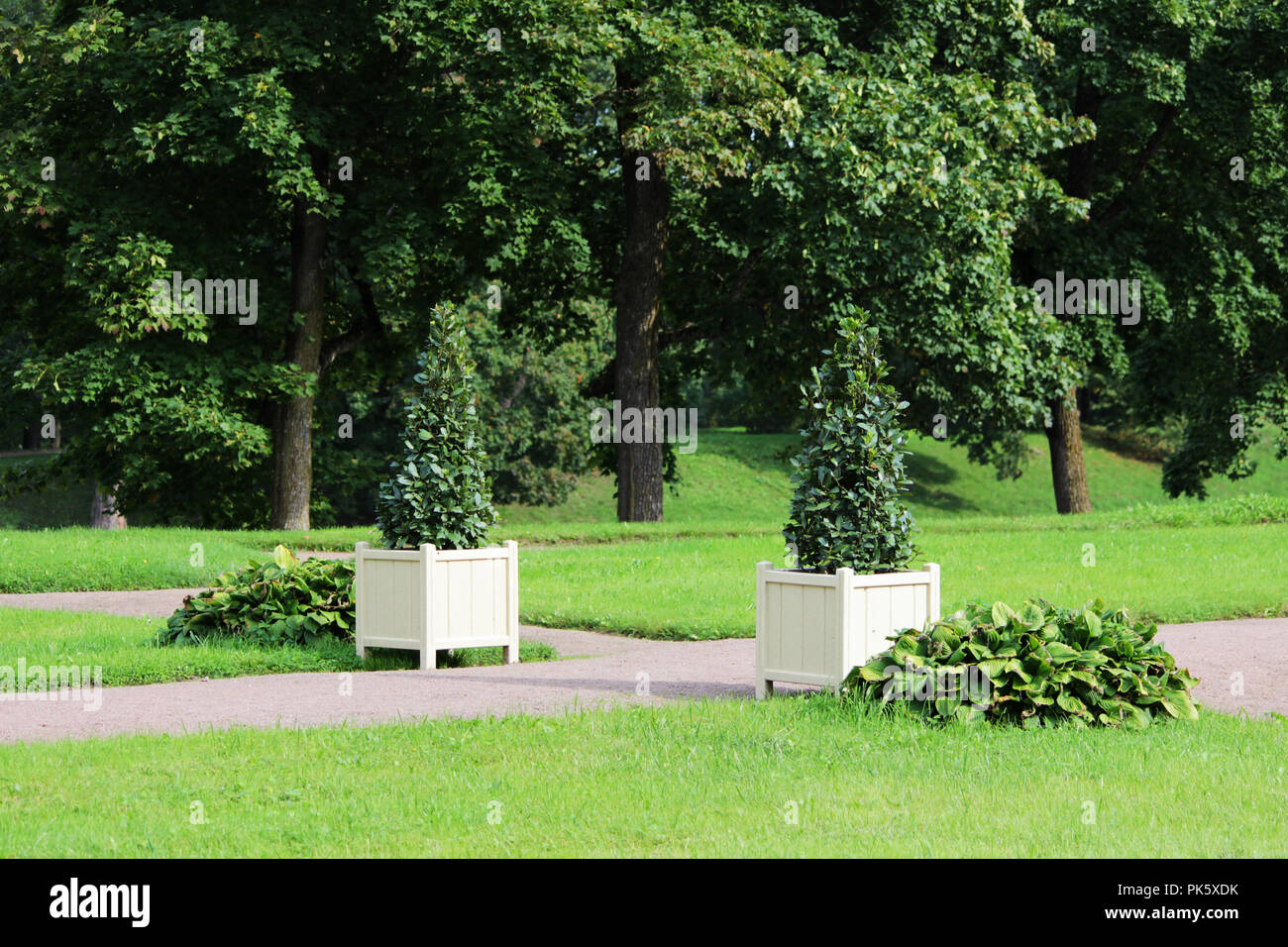 Conical tree form hi-res stock photography and images - Alamy