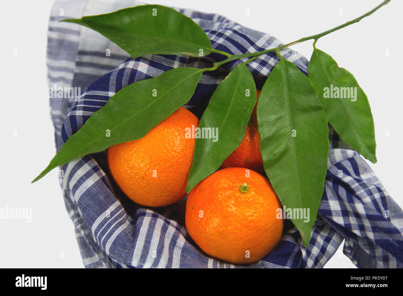 Three tangerines wrapped with a typical Valencian handkerchief ...