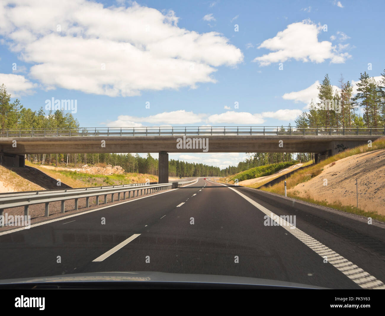 Driving on a Swedish highway through the forests of Värmland on a sunny ...