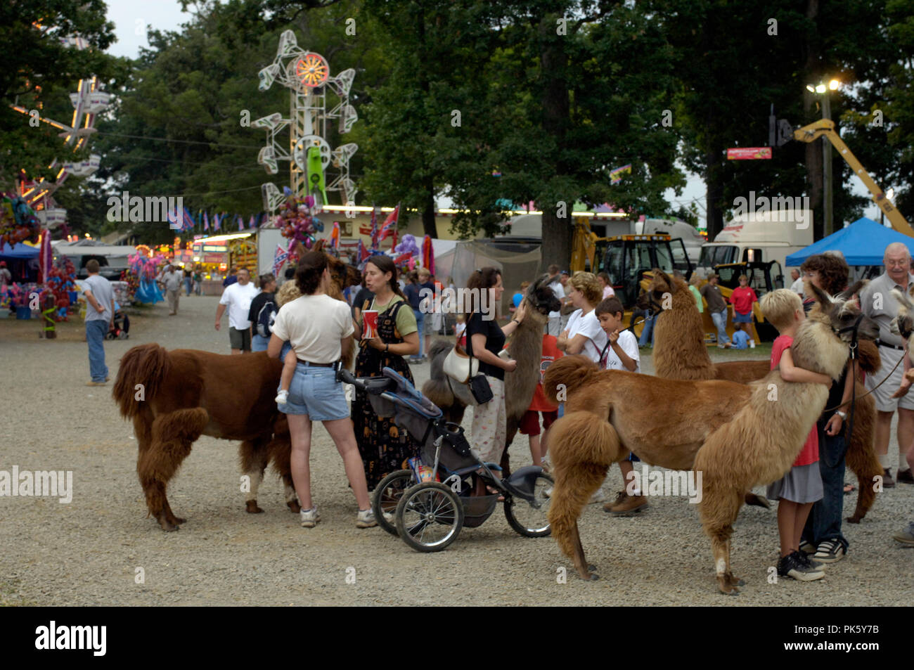 Fair goers in the mid-way at the 51st Annual Clarke County Fair Stock ...