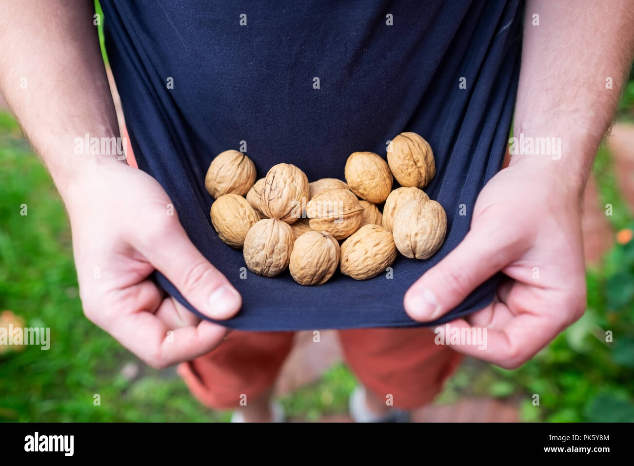 Walnuts in the palm hi-res stock photography and images - Alamy