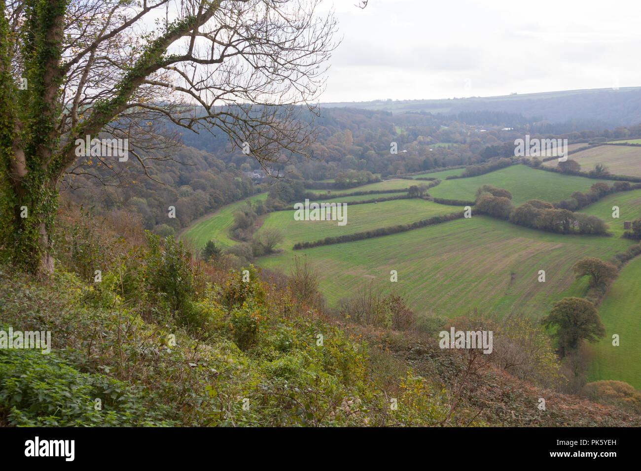 The view over the River Torridge valley from Castle Hill, Great ...