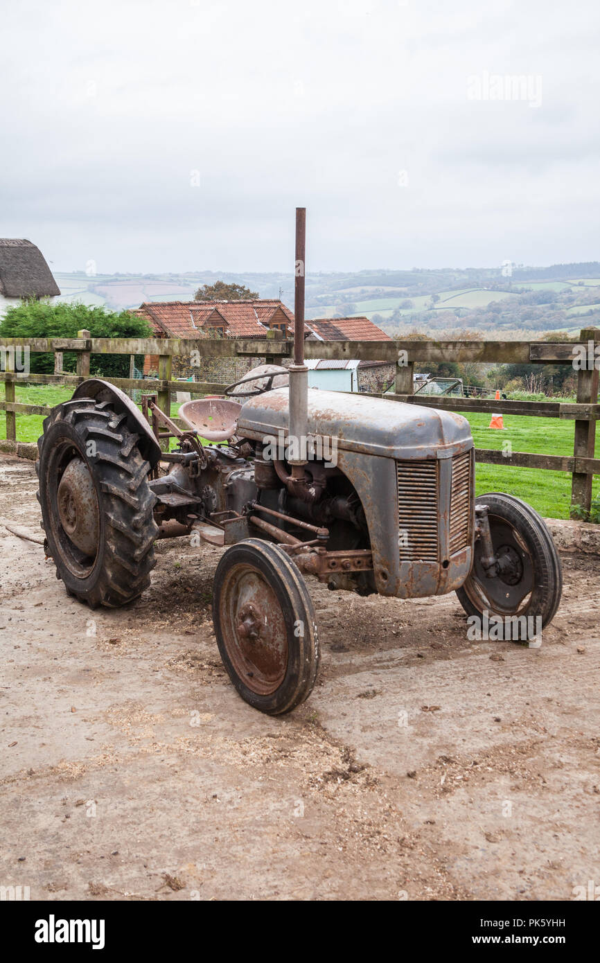 Little grey fergie hi-res stock photography and images - Alamy
