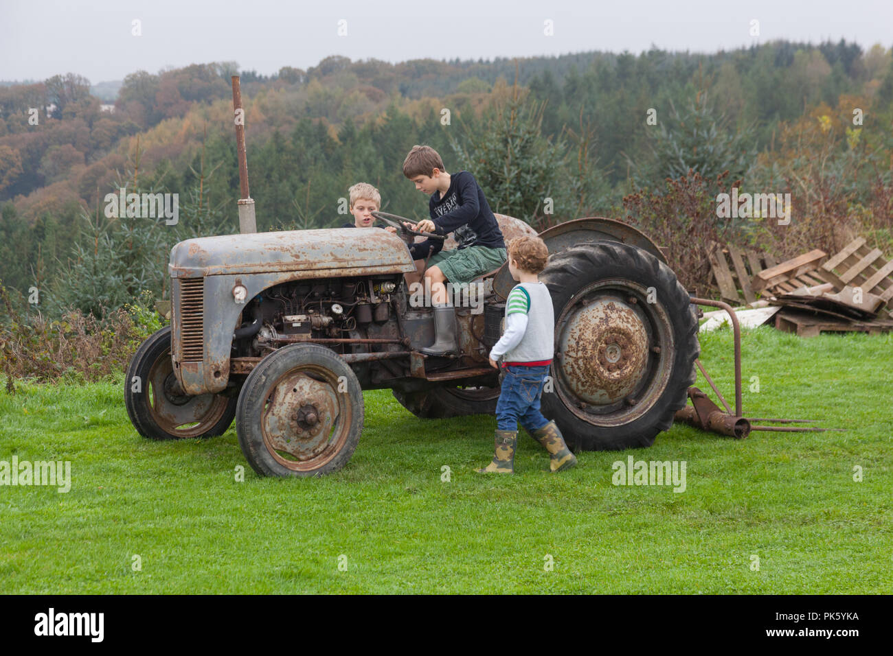 Three boys playing on a little grey Ferguson tractor TE20, High ...