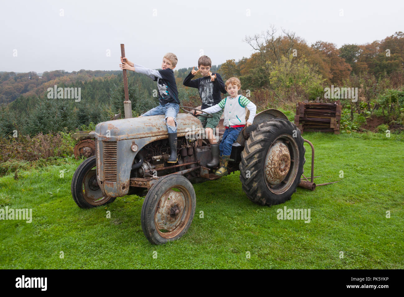 Three boys playing on a little grey Ferguson tractor TE20, High ...