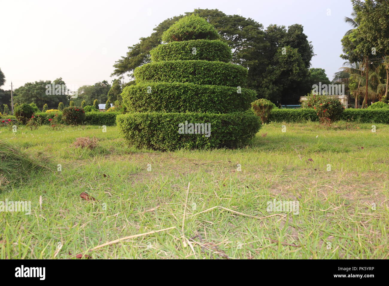 hedge sculpture.Incredible Garden Hedge Ideas.hedge and sculpture in ...