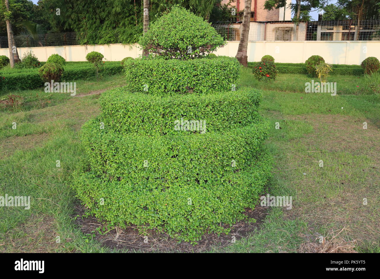 hedge sculpture.Incredible Garden Hedge Ideas.hedge and sculpture in ...