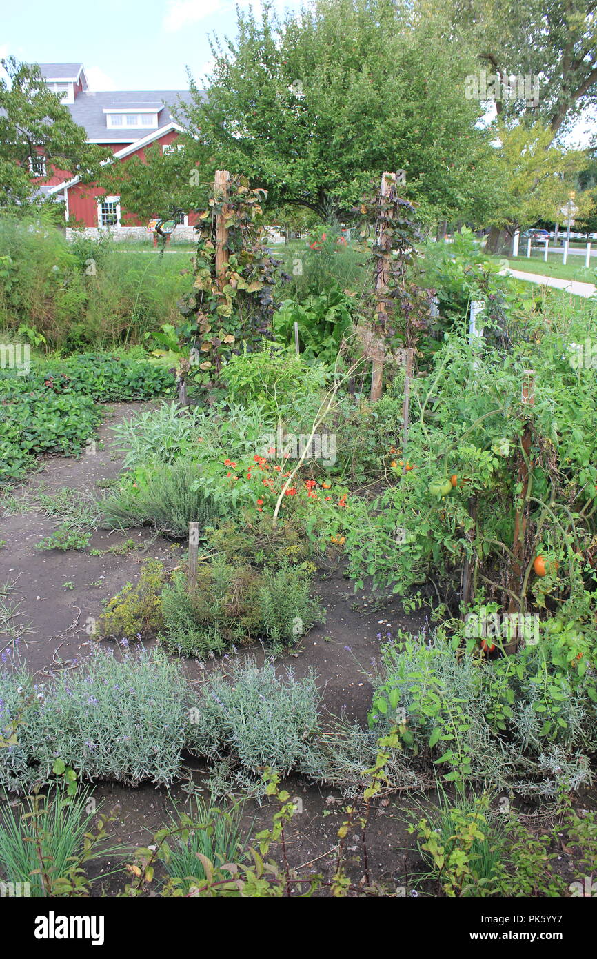Informal Garden Plant High Resolution Stock Photography and Images - Alamy