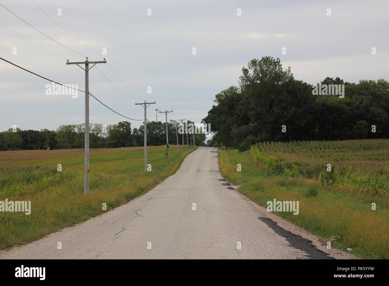 Late summer corn field and a quiet country lane in rural Marengo ...