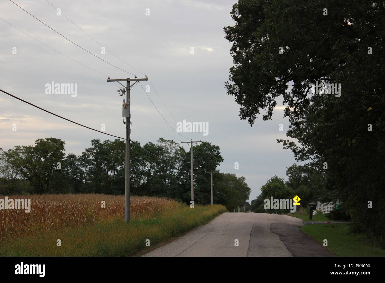 Late summer corn field and a quiet country lane in rural Marengo ...