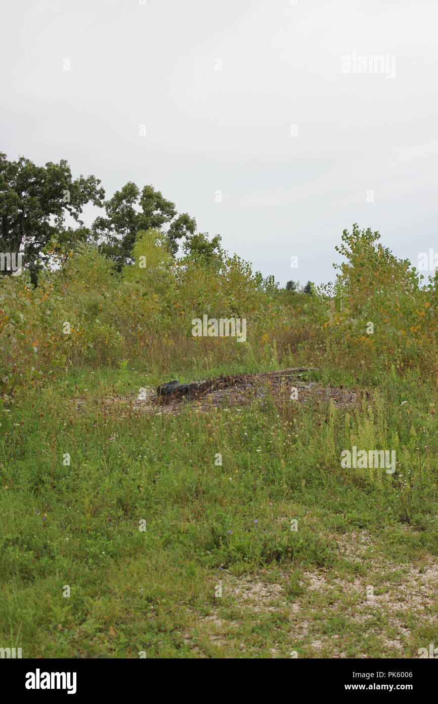 Remnants and embers leftover from a previous campfire in rural Marengo ...