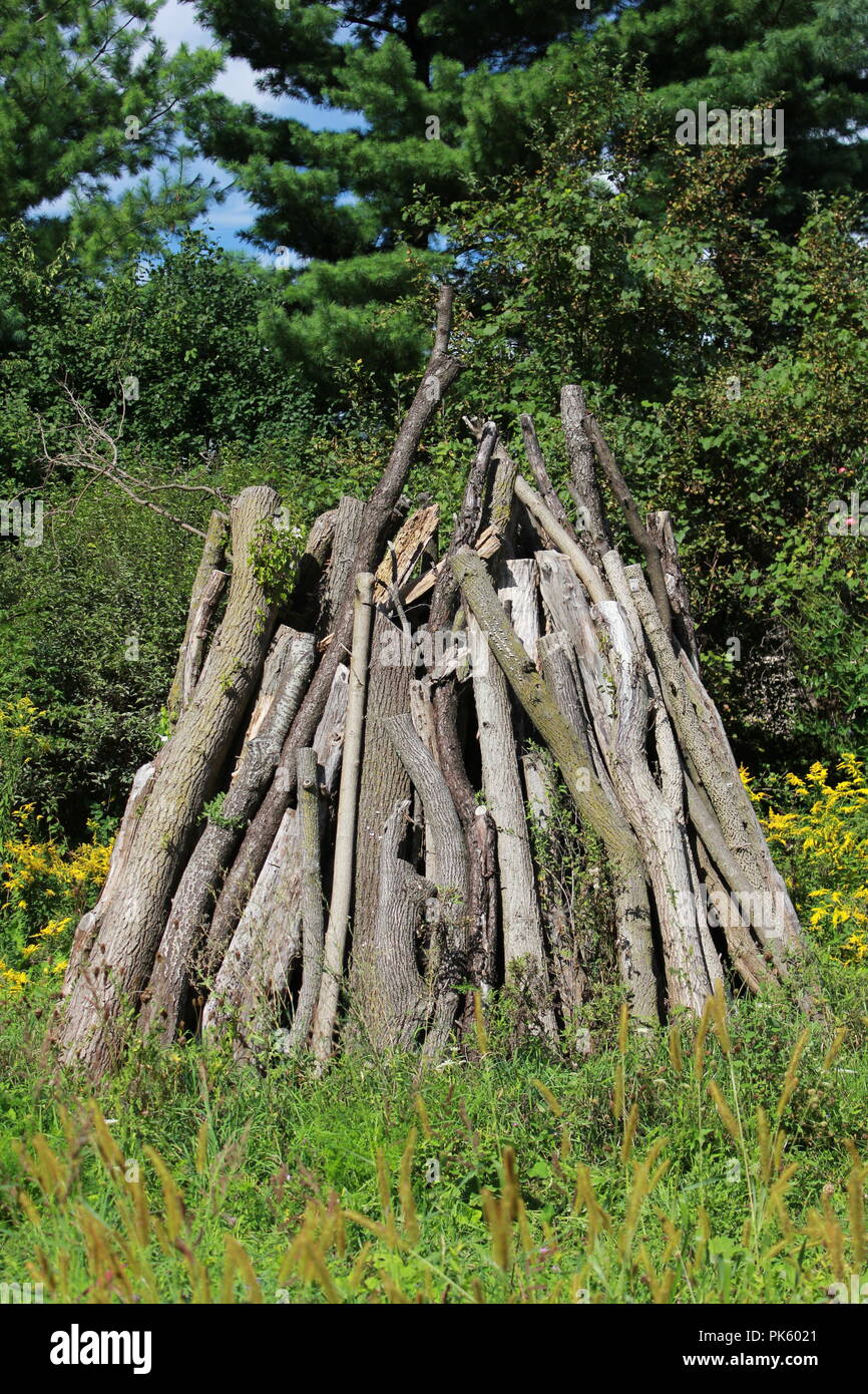 Huge tipi style lean to campfire built on a late summer day Stock Photo ...
