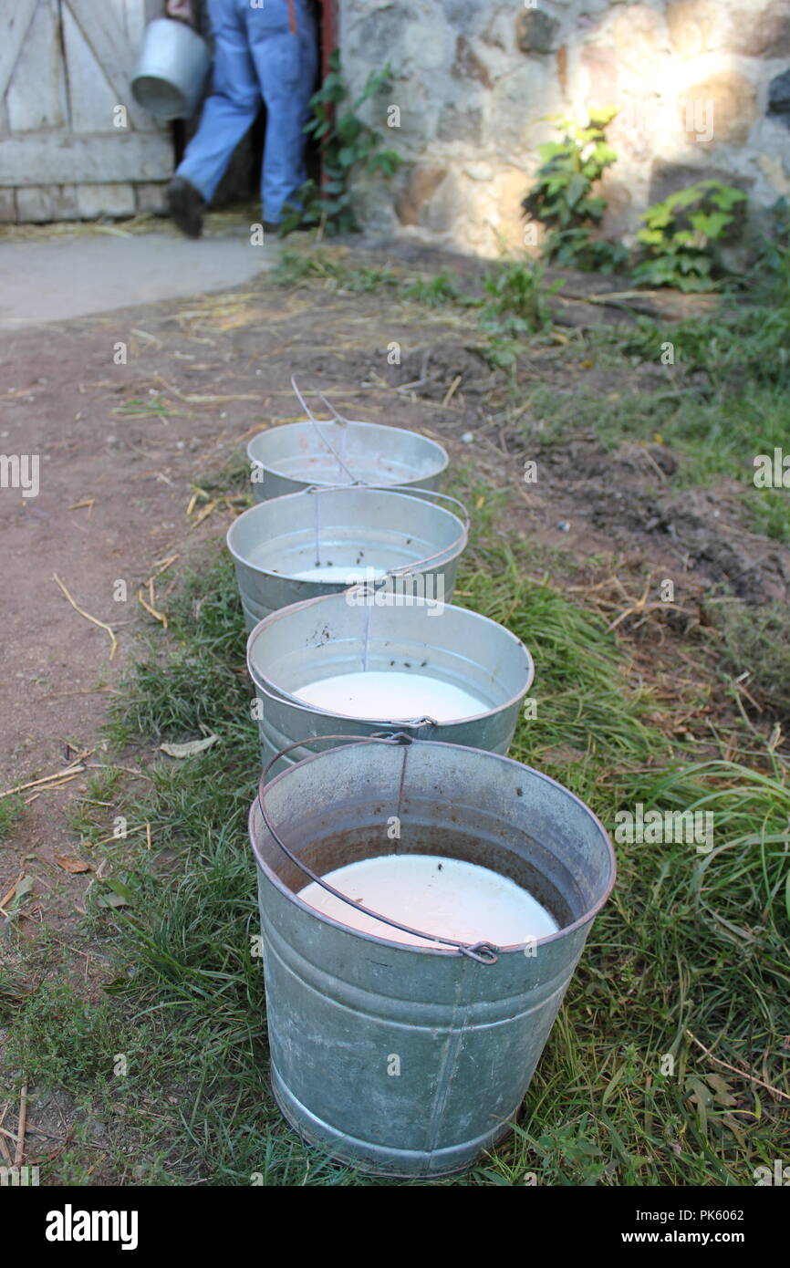 Milking pails hi-res stock photography and images - Alamy