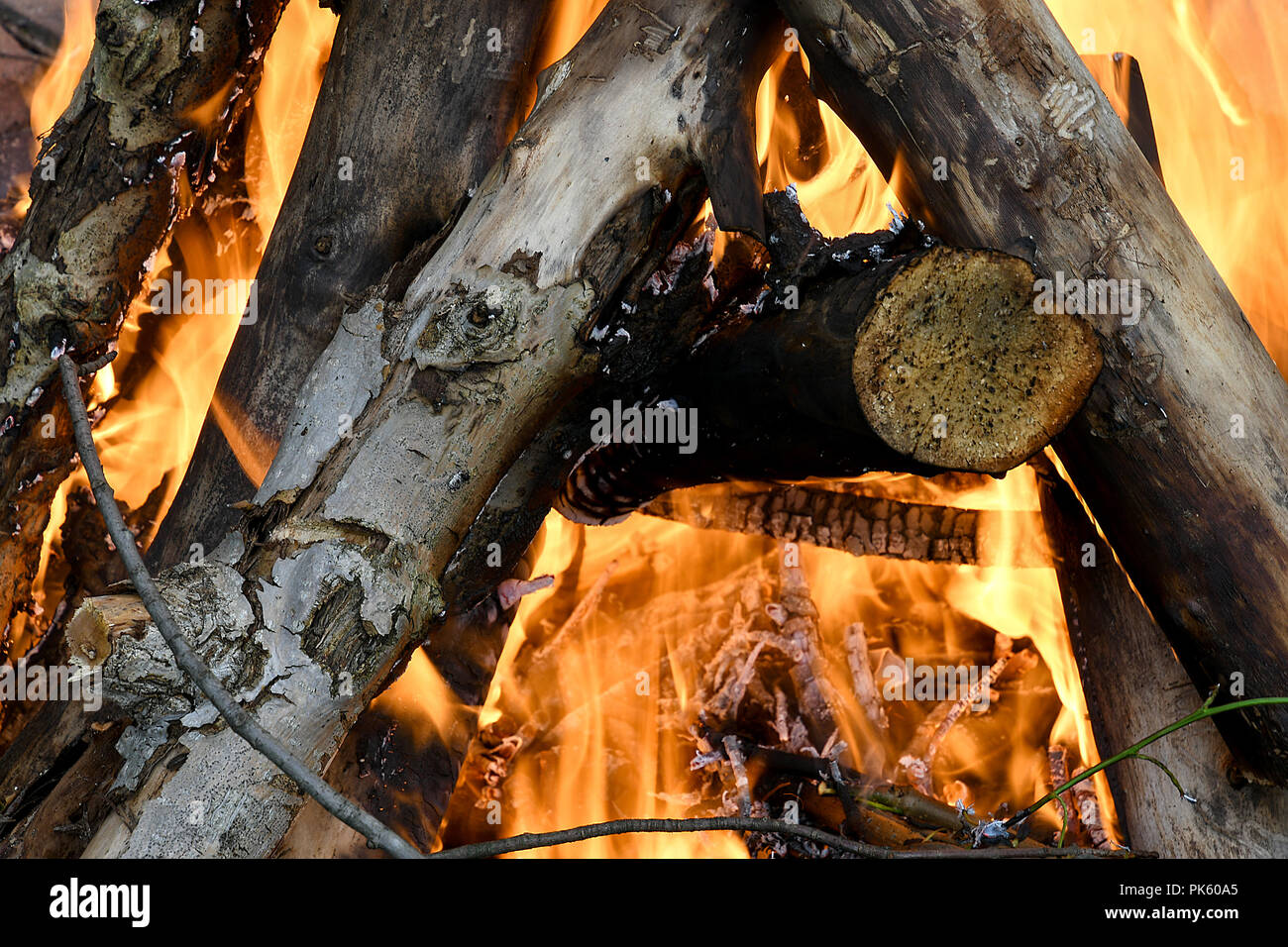 closeup of logs burning in bonfire Stock Photo - Alamy