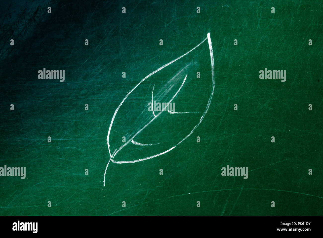 A photo of a leaf drawing made with chalk on a green board, with copy ...