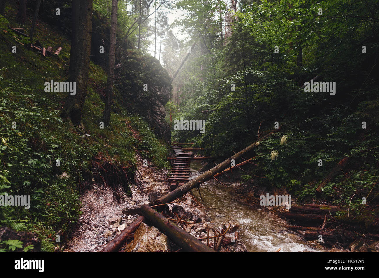 Bela river High Resolution Stock Photography and Images - Alamy