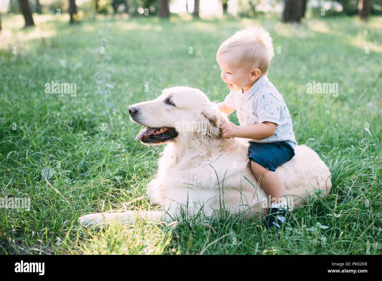 Little child playing with Labrador retriever dog together in wood Stock ...