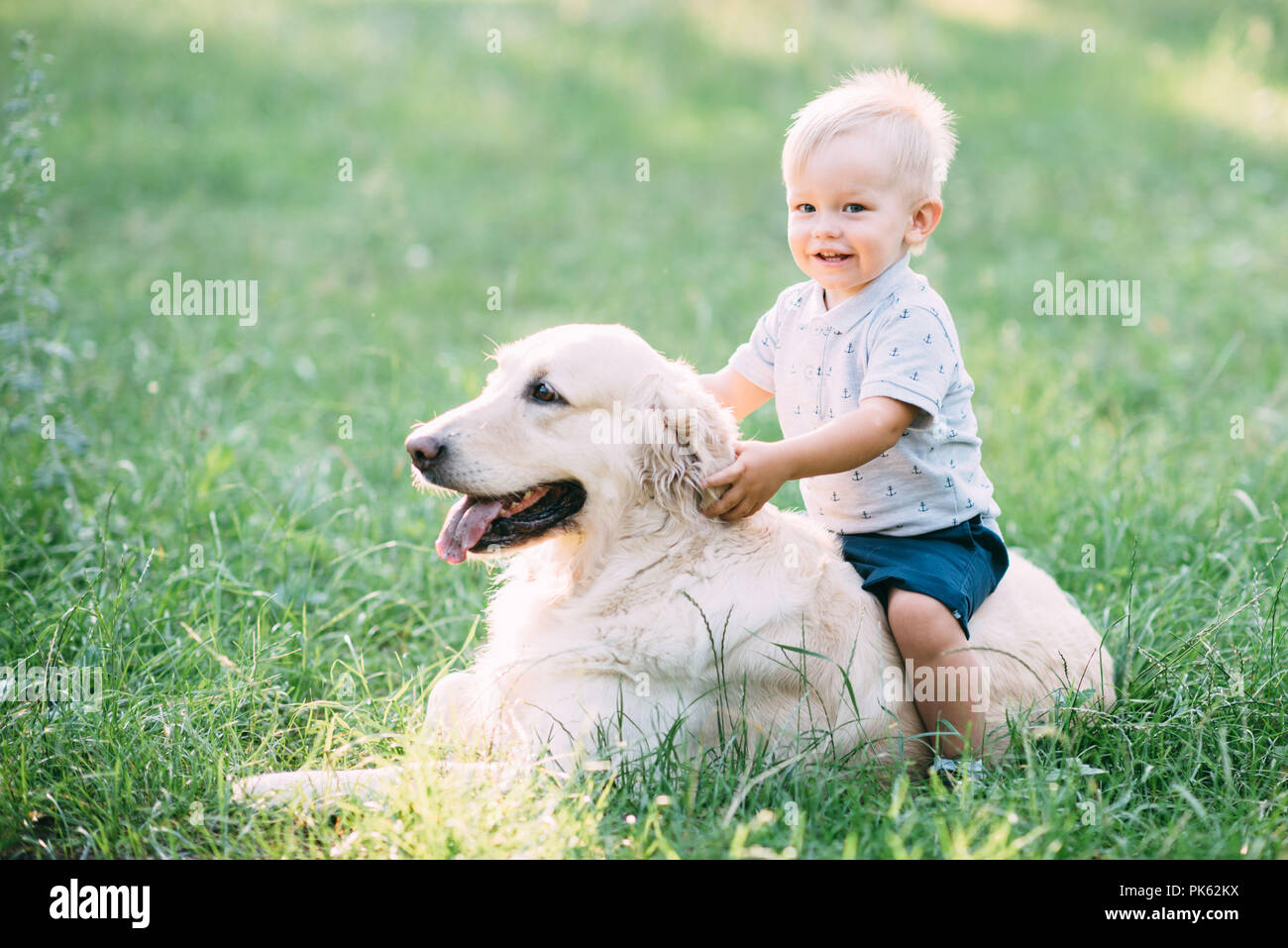Are Labrador Retrievers Good With Kids