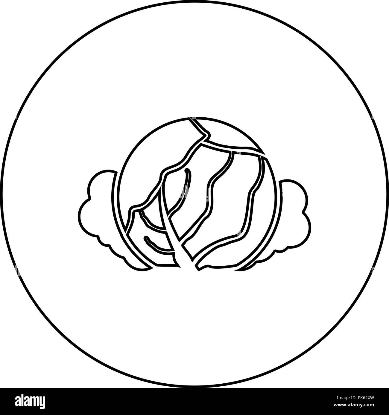 Fresh vegetable in round Black and White Stock Photos & Images - Alamy