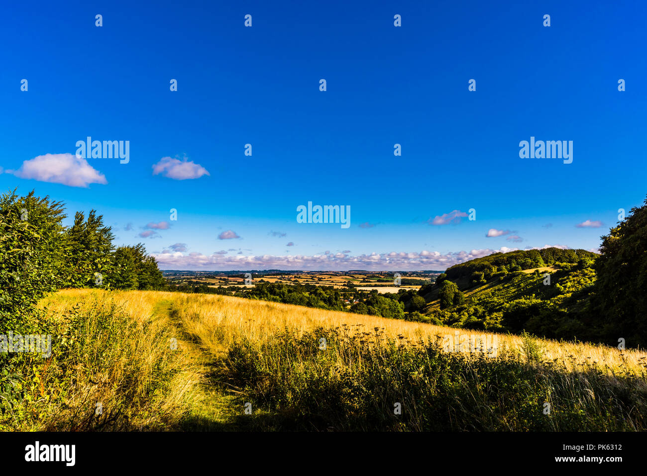 Early morning at Sharpenhoe outcrop, Bedfordshire, UK Stock Photo - Alamy