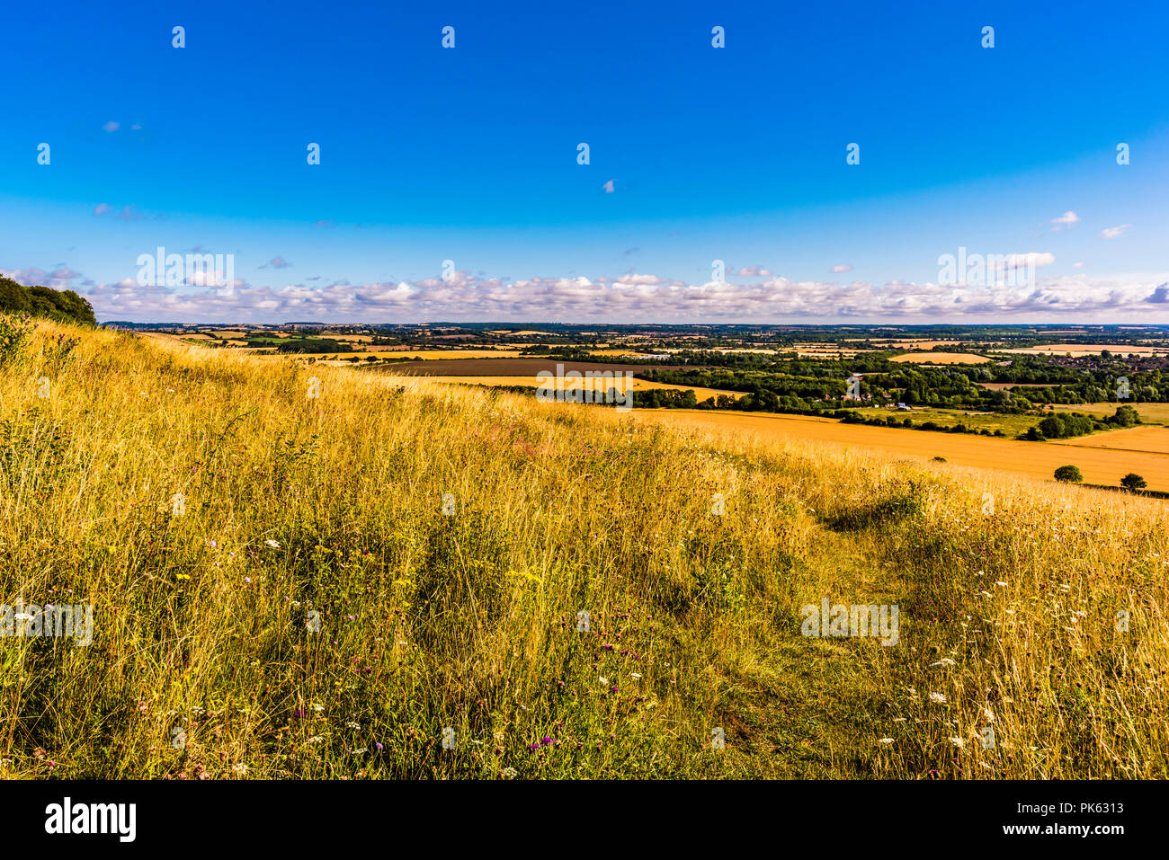 Early morning view and pathway at Sharpenhoe outcrop, Bedfordshire, UK ...