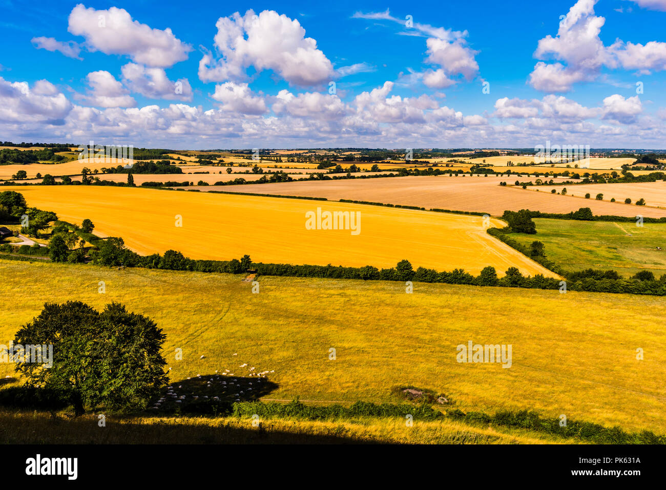 Early morning view from Sharpenhoe outcrop, Bedfordshire, UK Stock ...