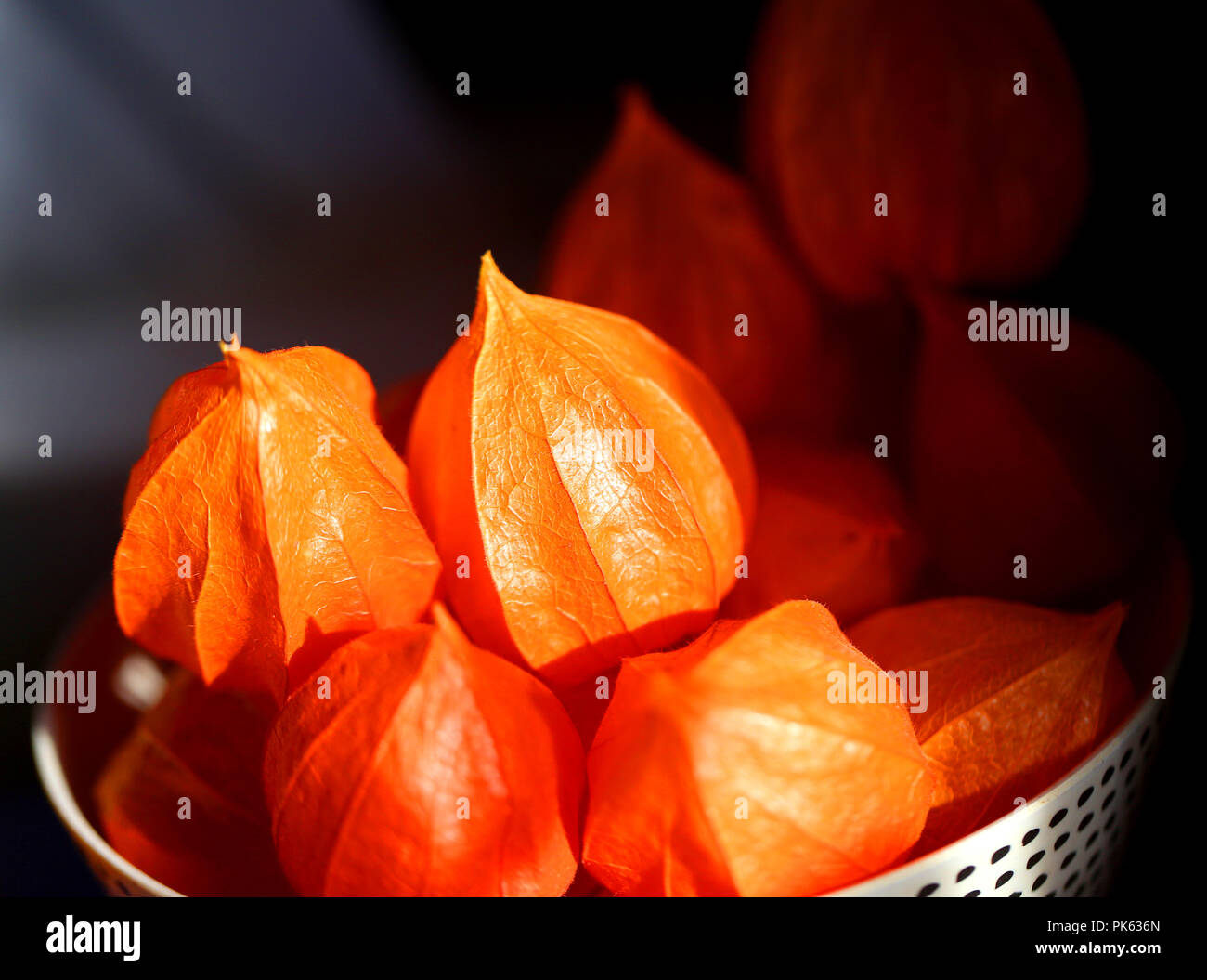 Photo macro beautiful bright physalis lit by the sun Stock Photo - Alamy