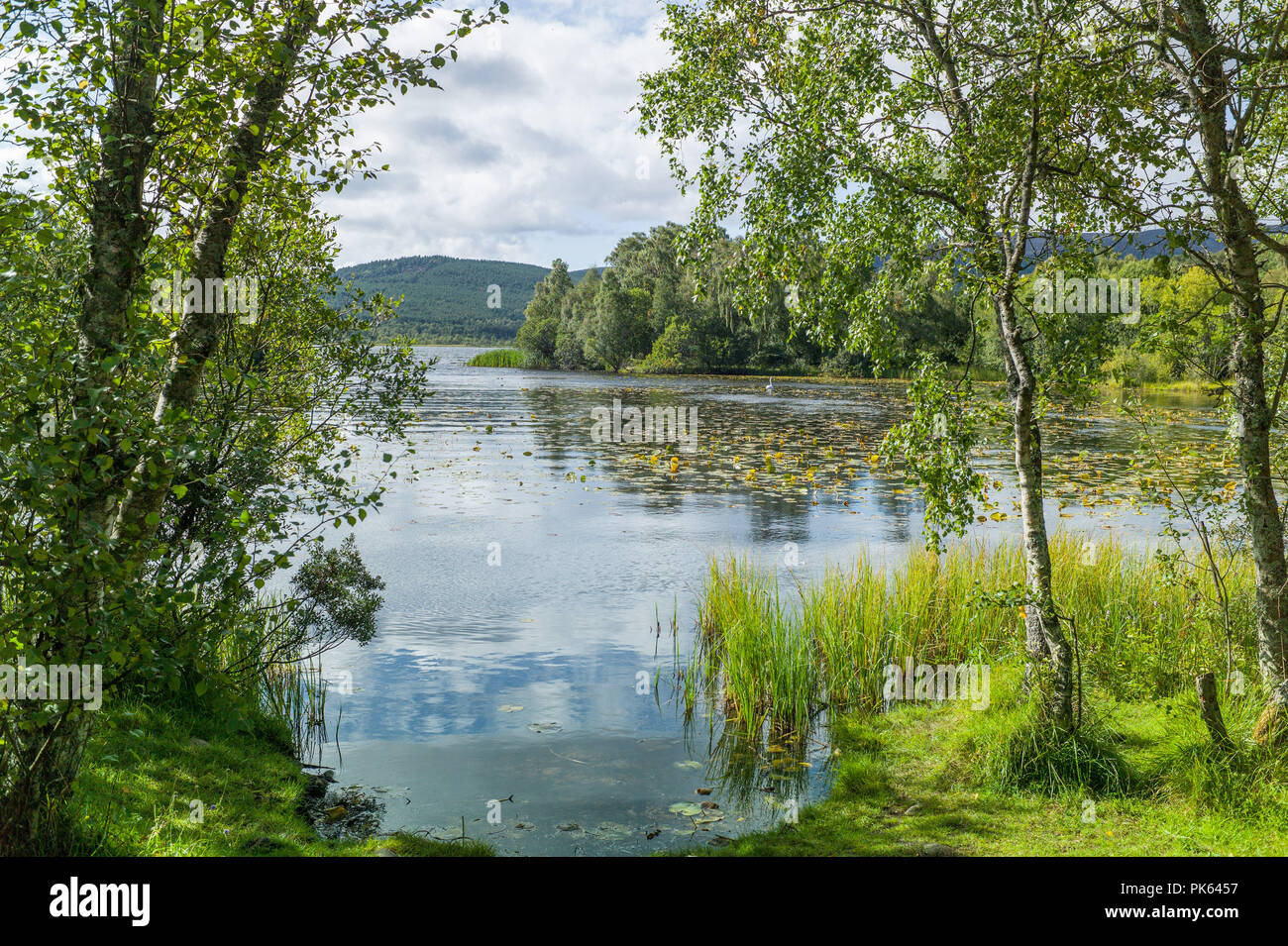 Scottish loch muir hi-res stock photography and images - Alamy