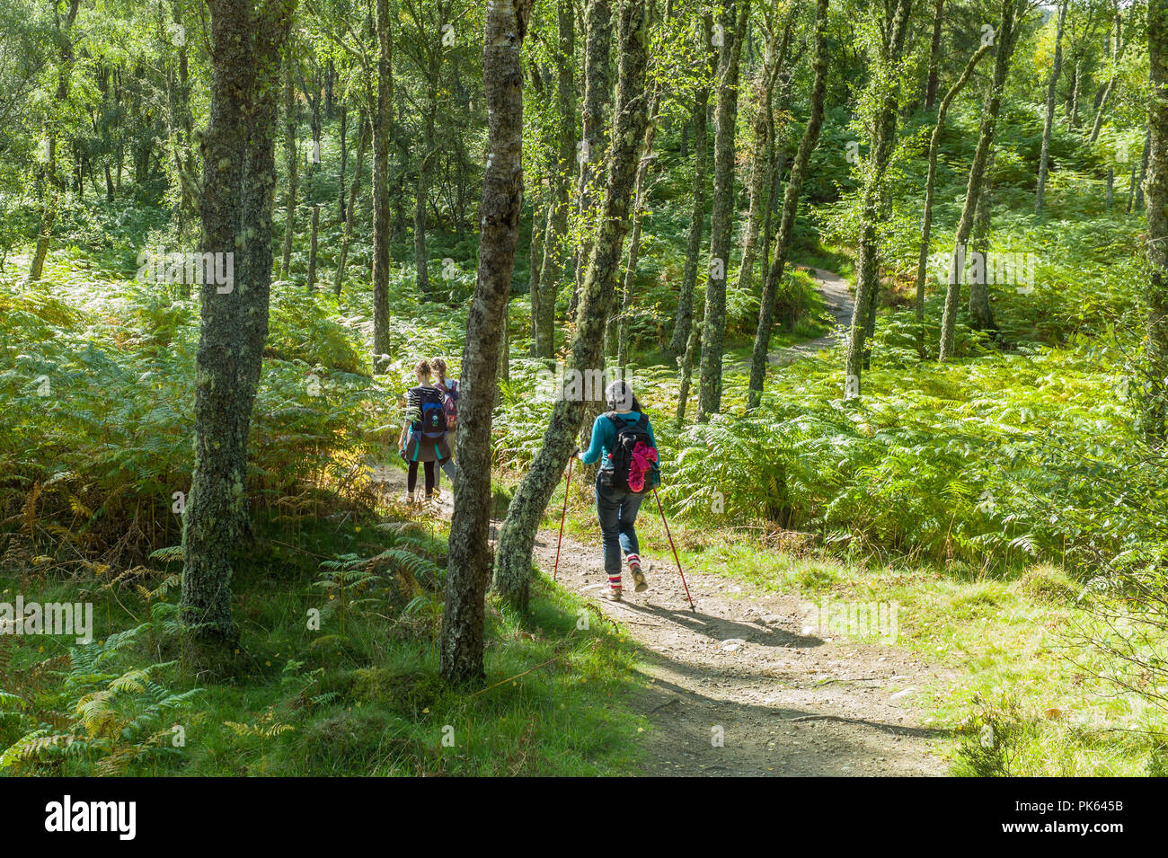 Loch Kinord Muir of Dinnet National Nature Reserve Aberdeenshire ...