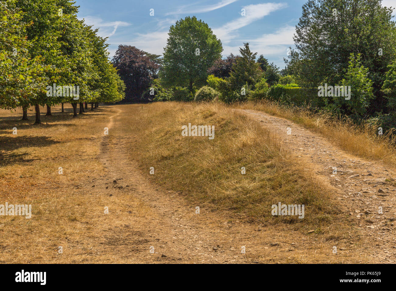 Earthworks on Minchinhampton Common Stock Photo - Alamy